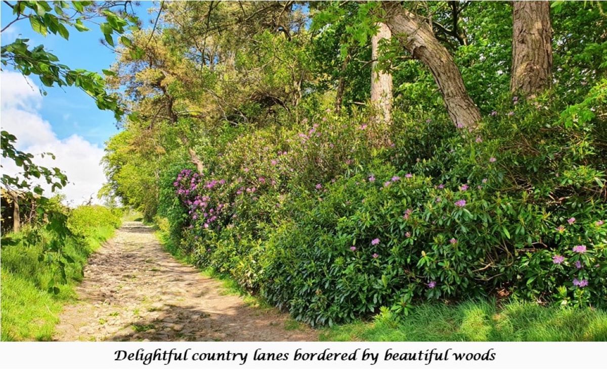 Visit Settle - Tranquillity